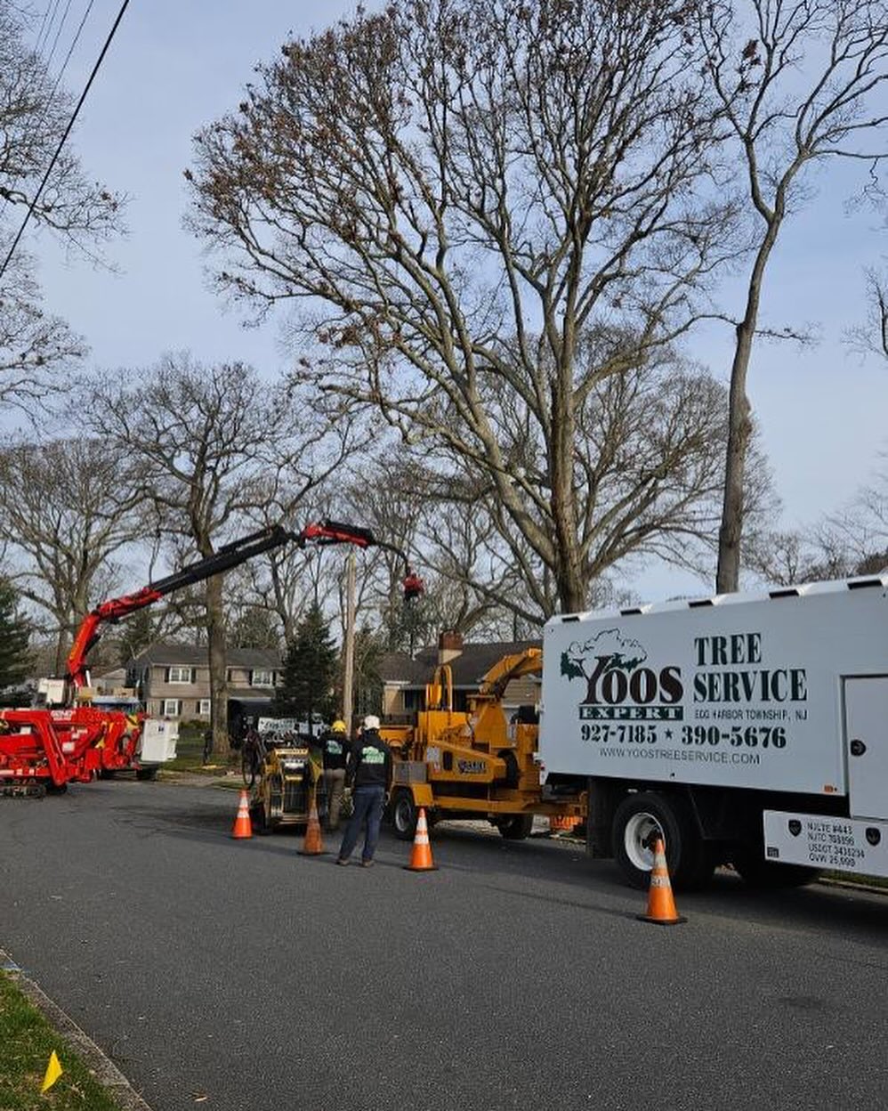 Request a Free Estimate - Yoos Tree Service